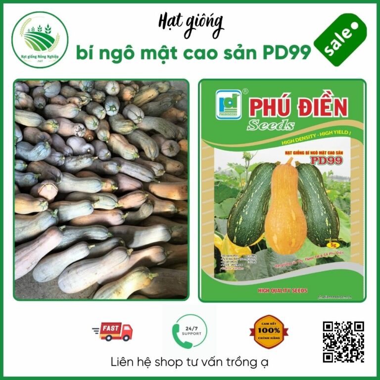 Hạt giống củ, quả - Hạt giống Nông Nghiệp