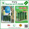 Hạt giống dưa leo lai F1-PD288